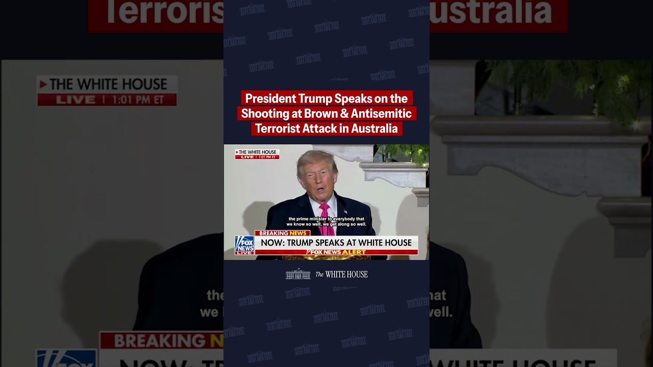 White House Chief of Staff Susie Wiles on working in the White House ...